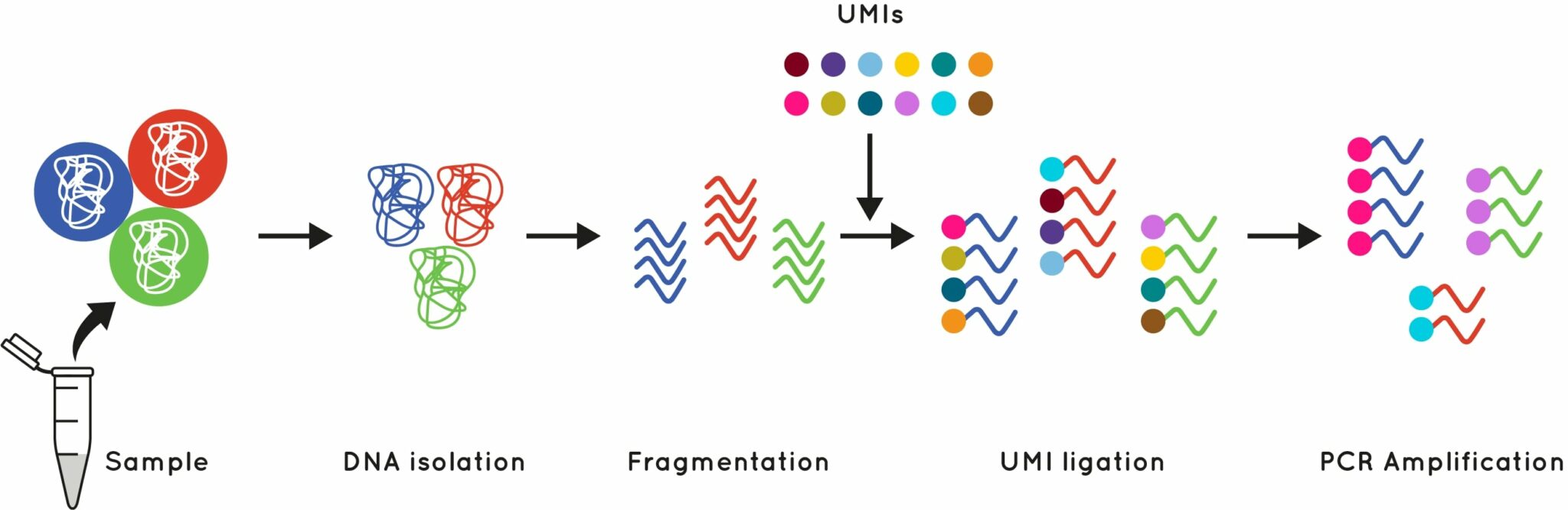 Unique Molecular Identifiers (UMIs) | Nonacus