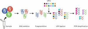 Unique Molecular Identifiers (UMIs) | Nonacus