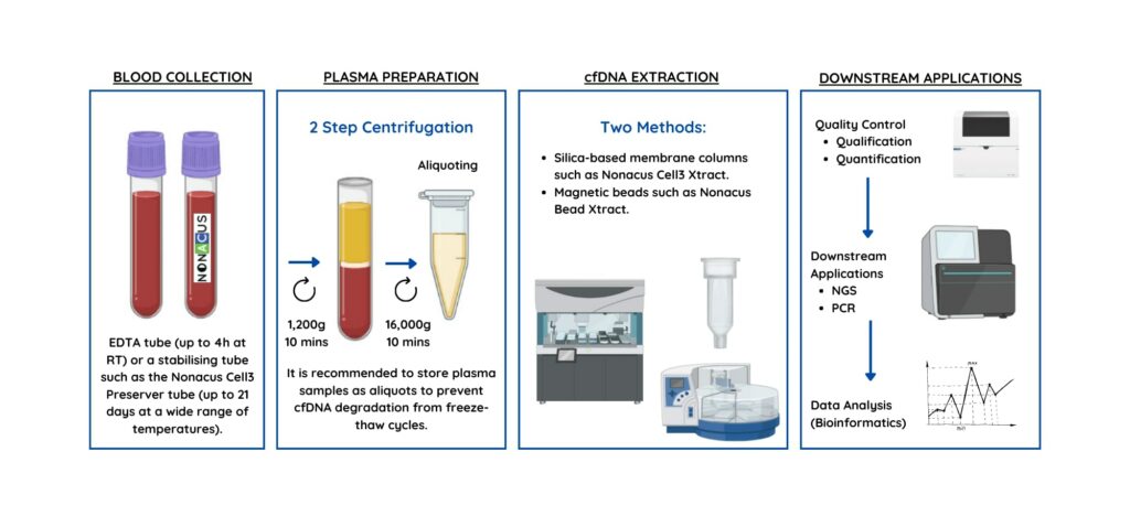 An optimized pre-analytical workflow is essential for liquid biopsy ...