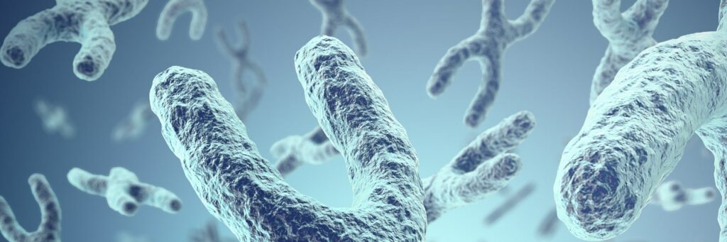 Detecting copy number variants using Next Generation Sequencing