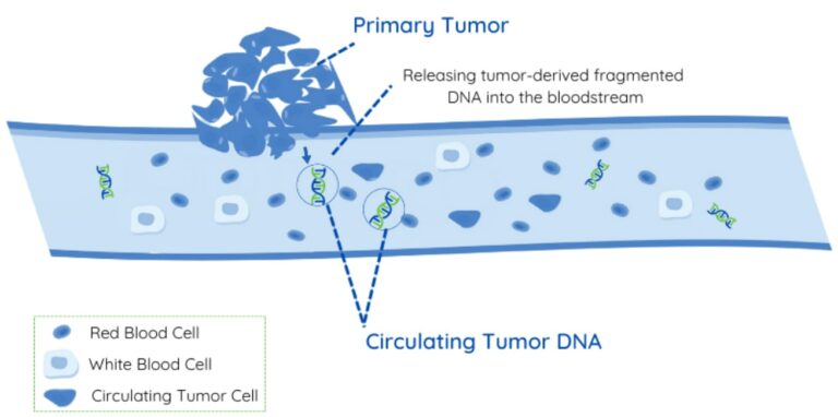 Custom MRD Panel | Nonacus