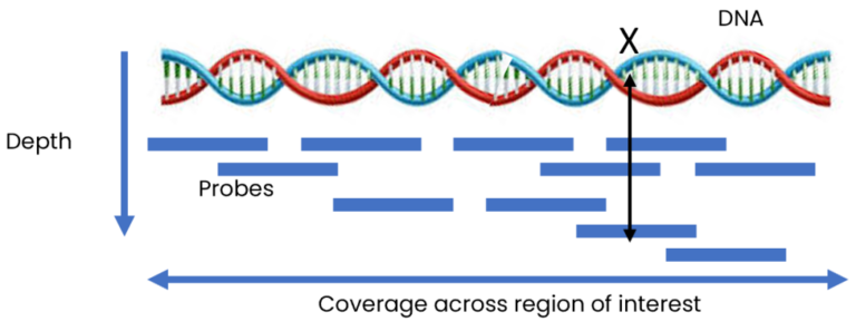4 key factors influencing NGS custom panel desig